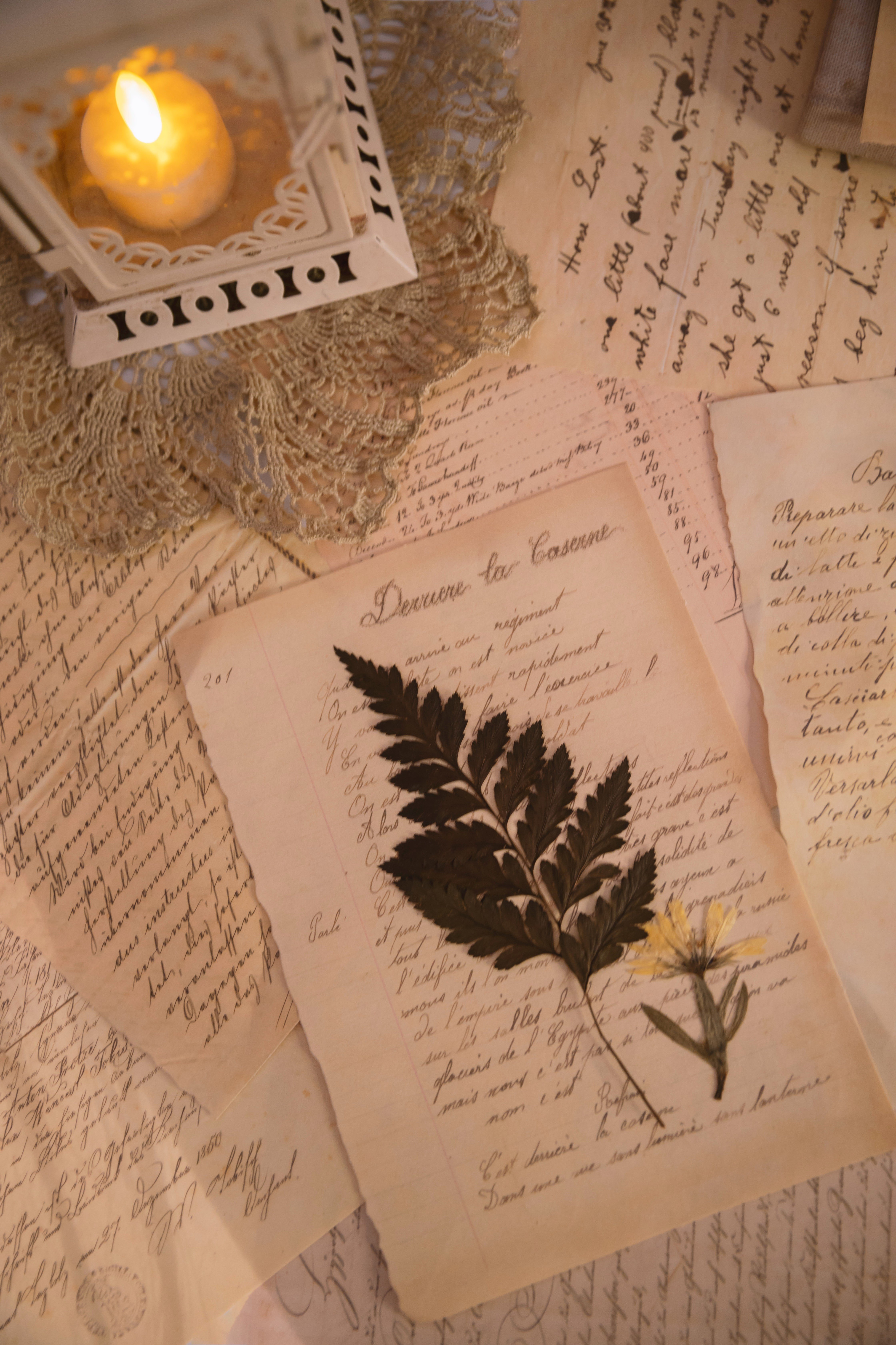 11 February 2025 - Erik Merkel | story.one