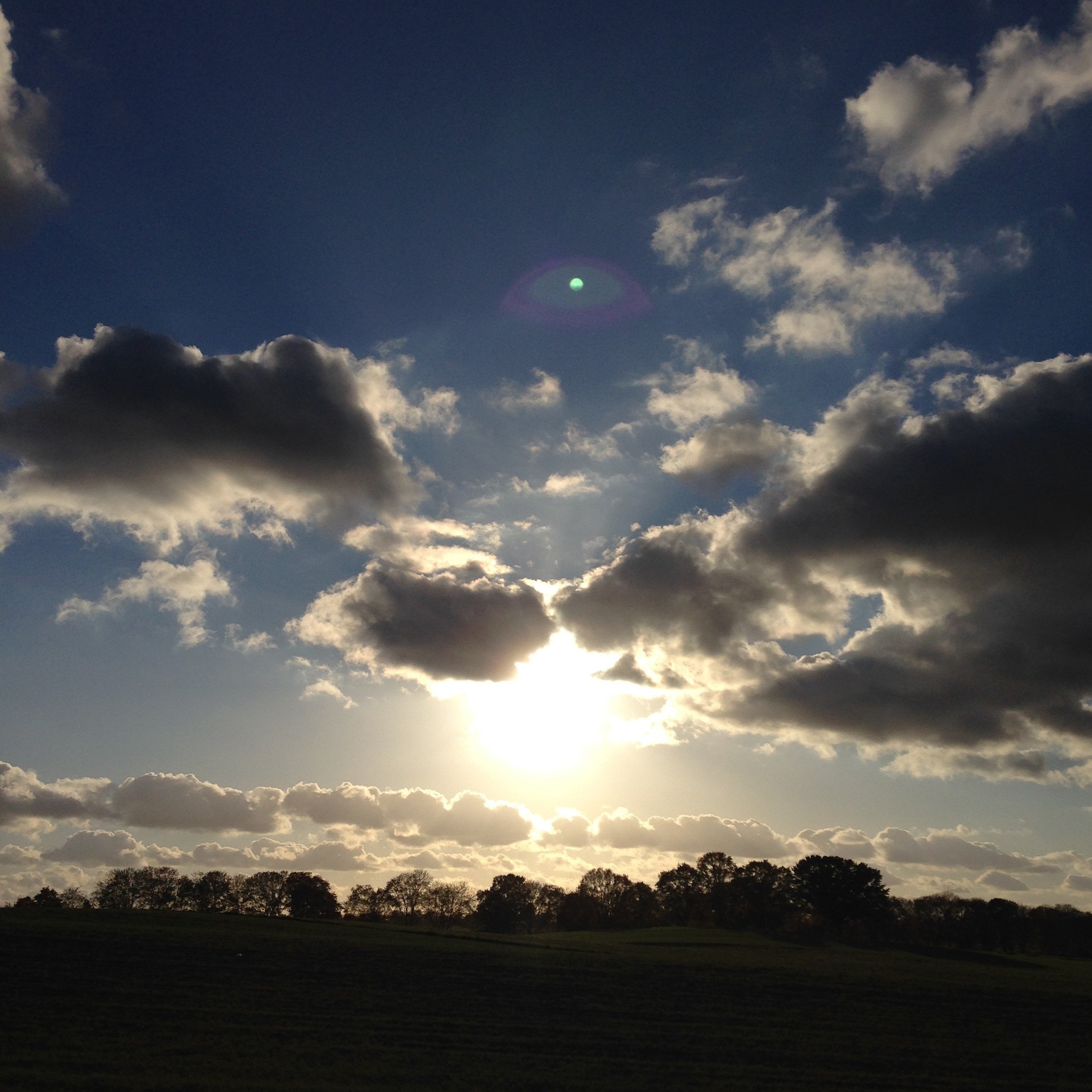 Exklusiver Primitivismus - Jamal Tuschick | story.one