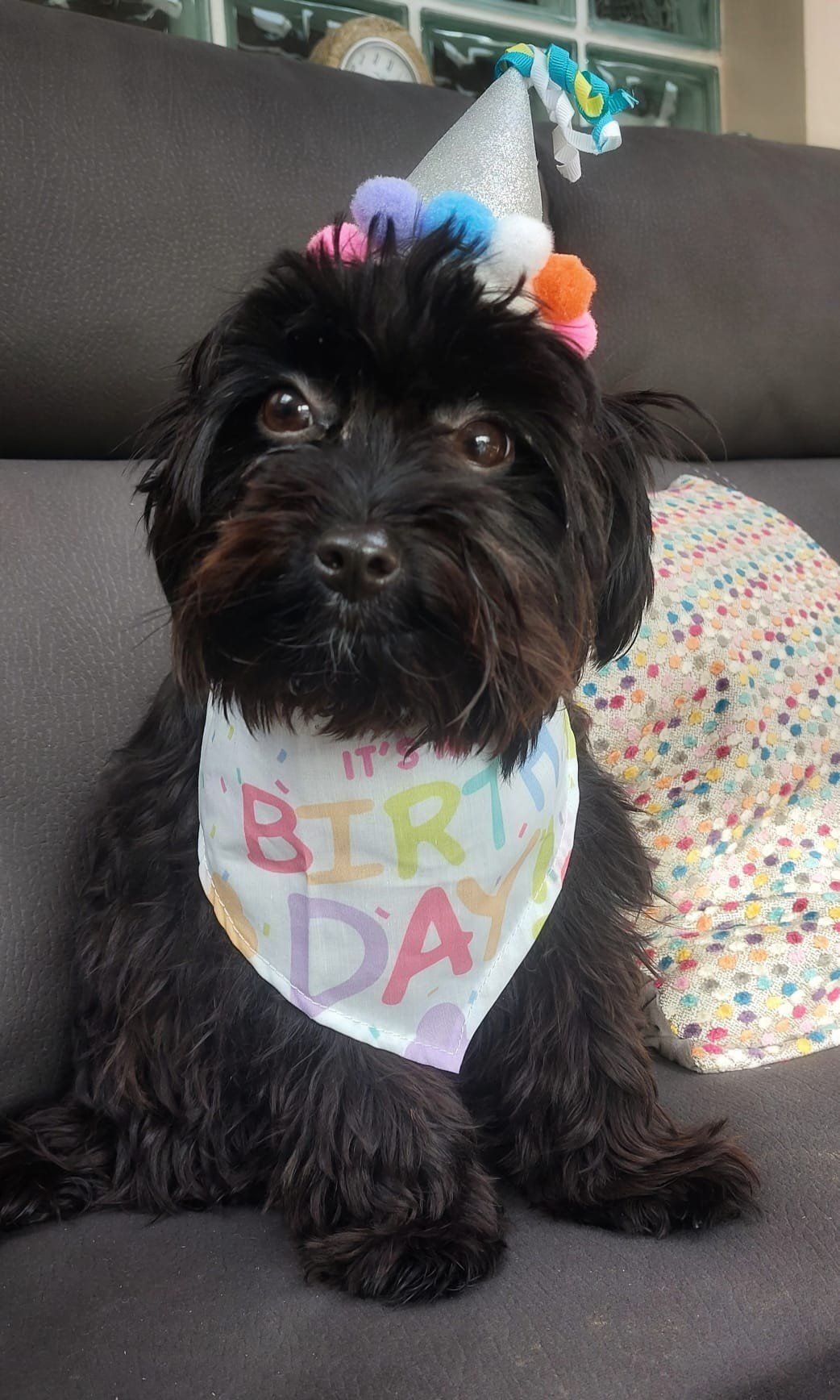 craig rock | Autor bei story.one