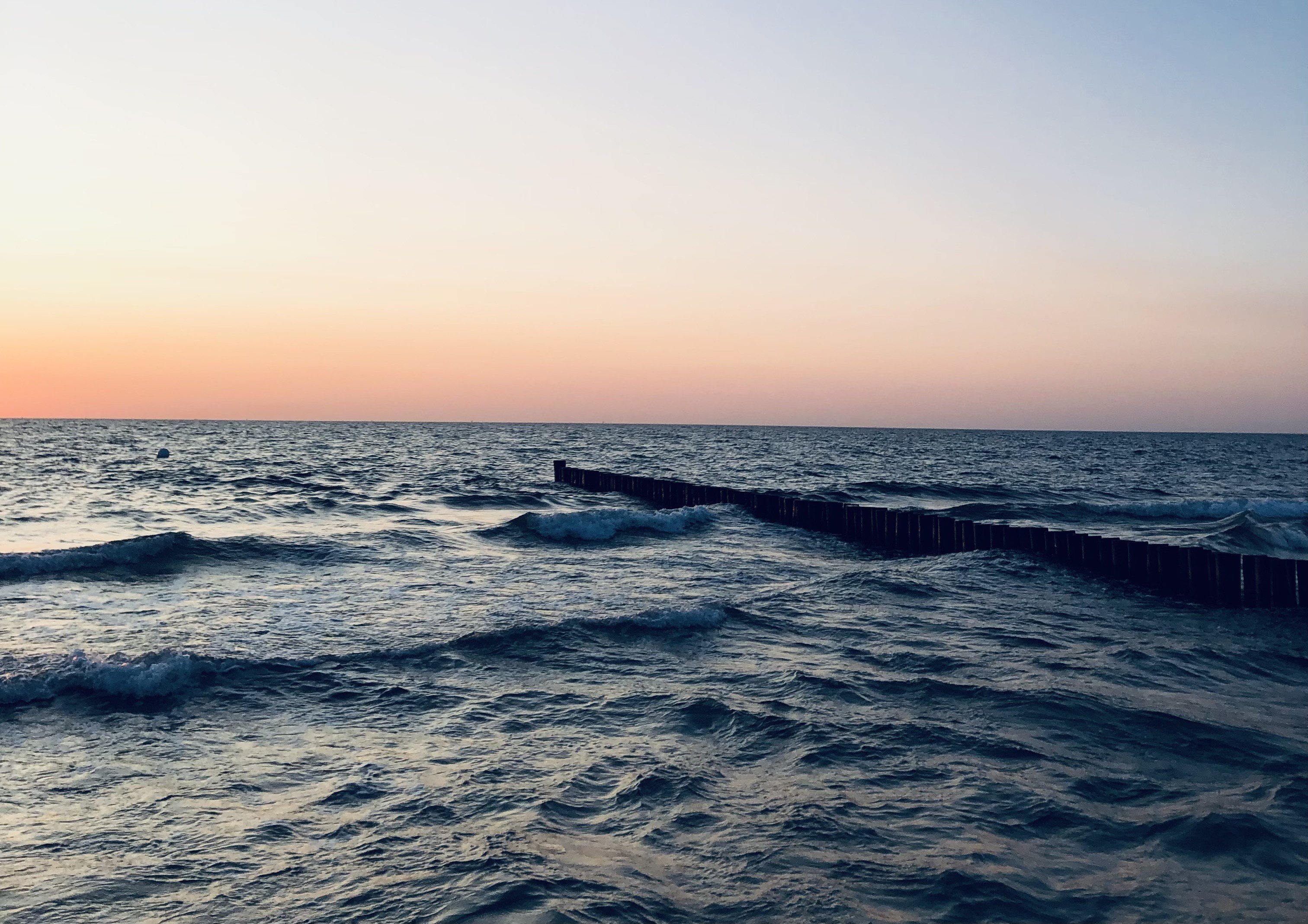 Persephone und der Dozent I. - Jamal Tuschick | story.one