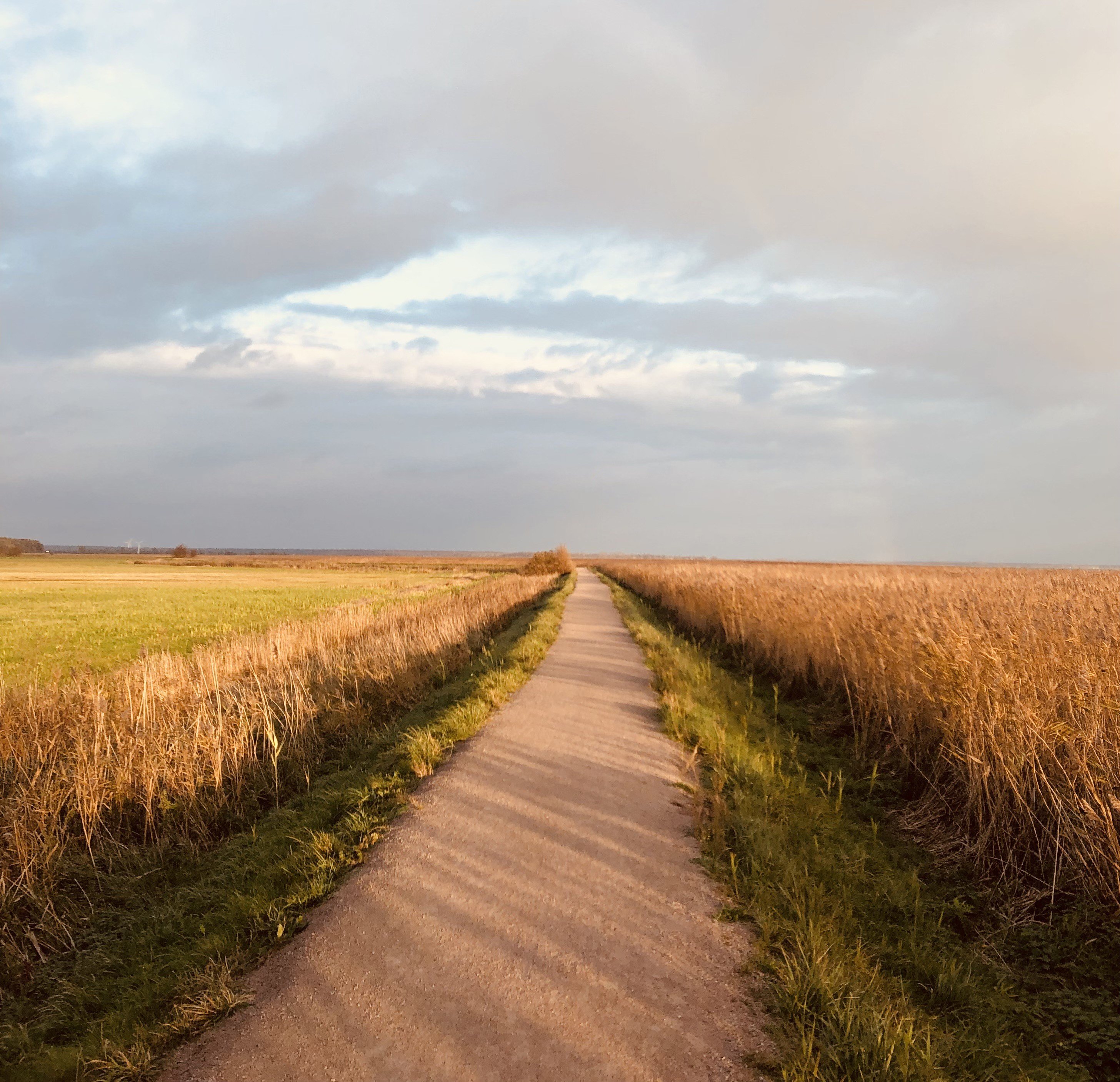 Alles Gold Europas - Jamal Tuschick | story.one