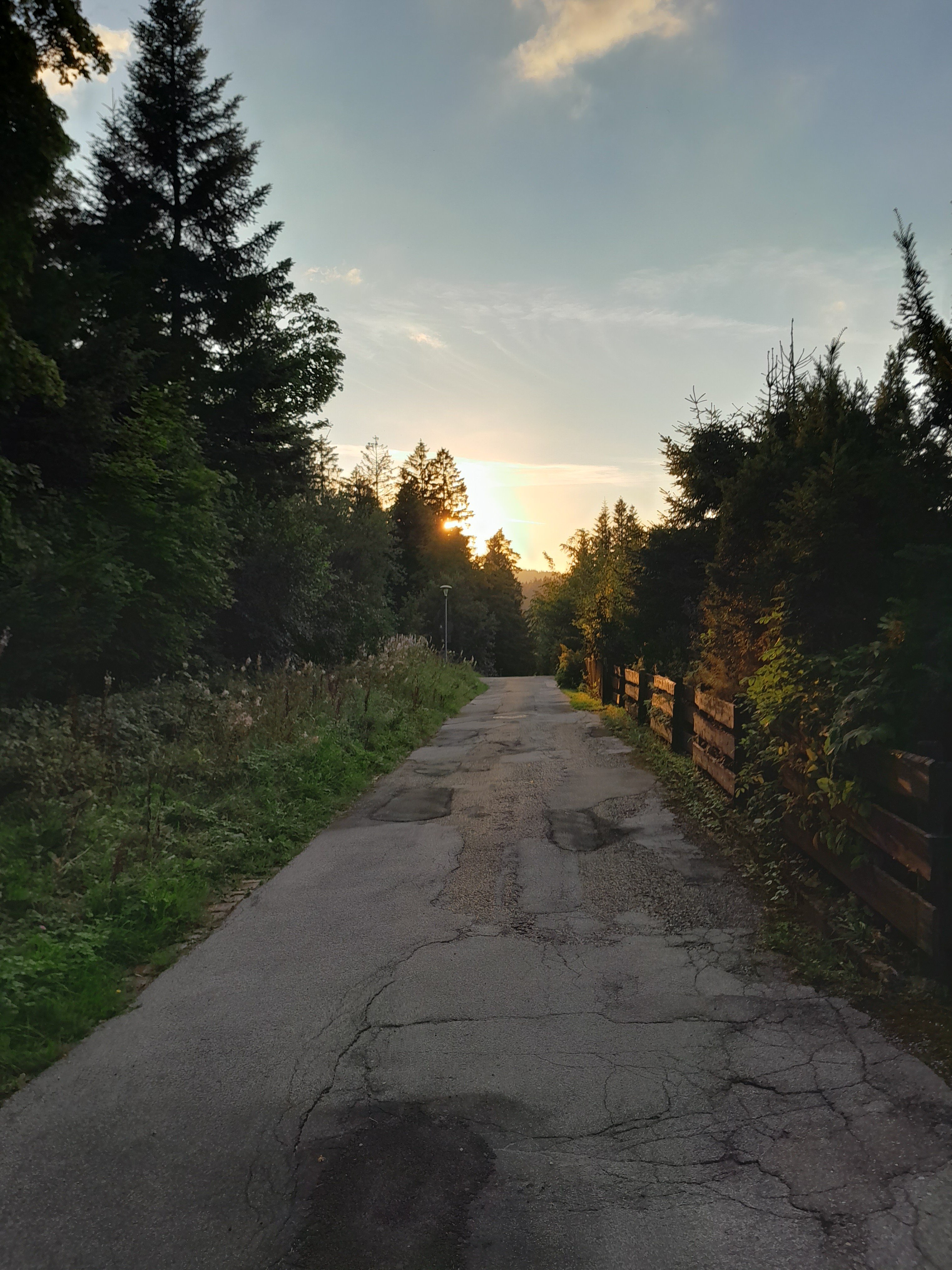 11. Gate - Sarah Stephan | story.one