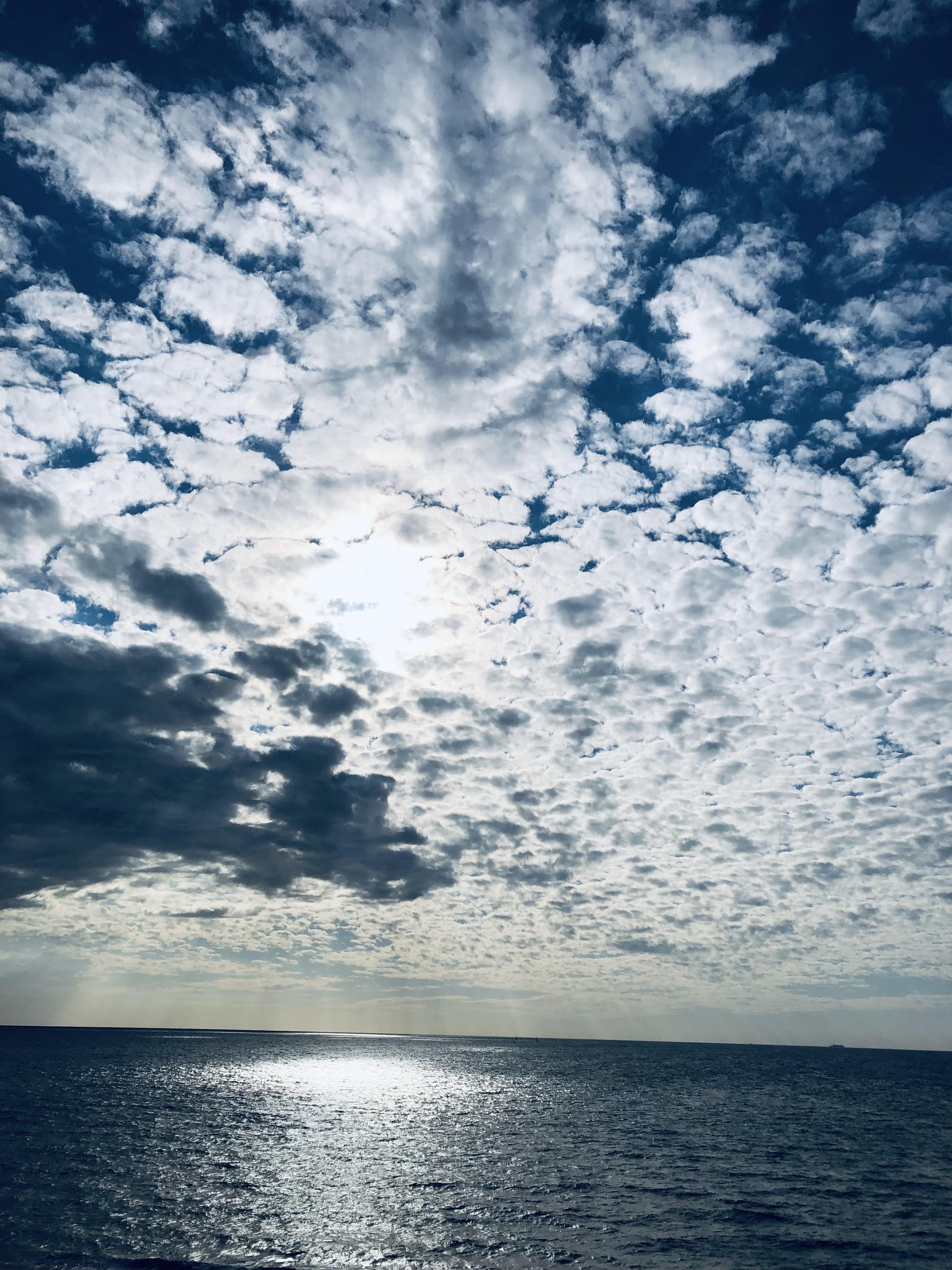 Die New Yorker Familien - Jamal Tuschick | story.one