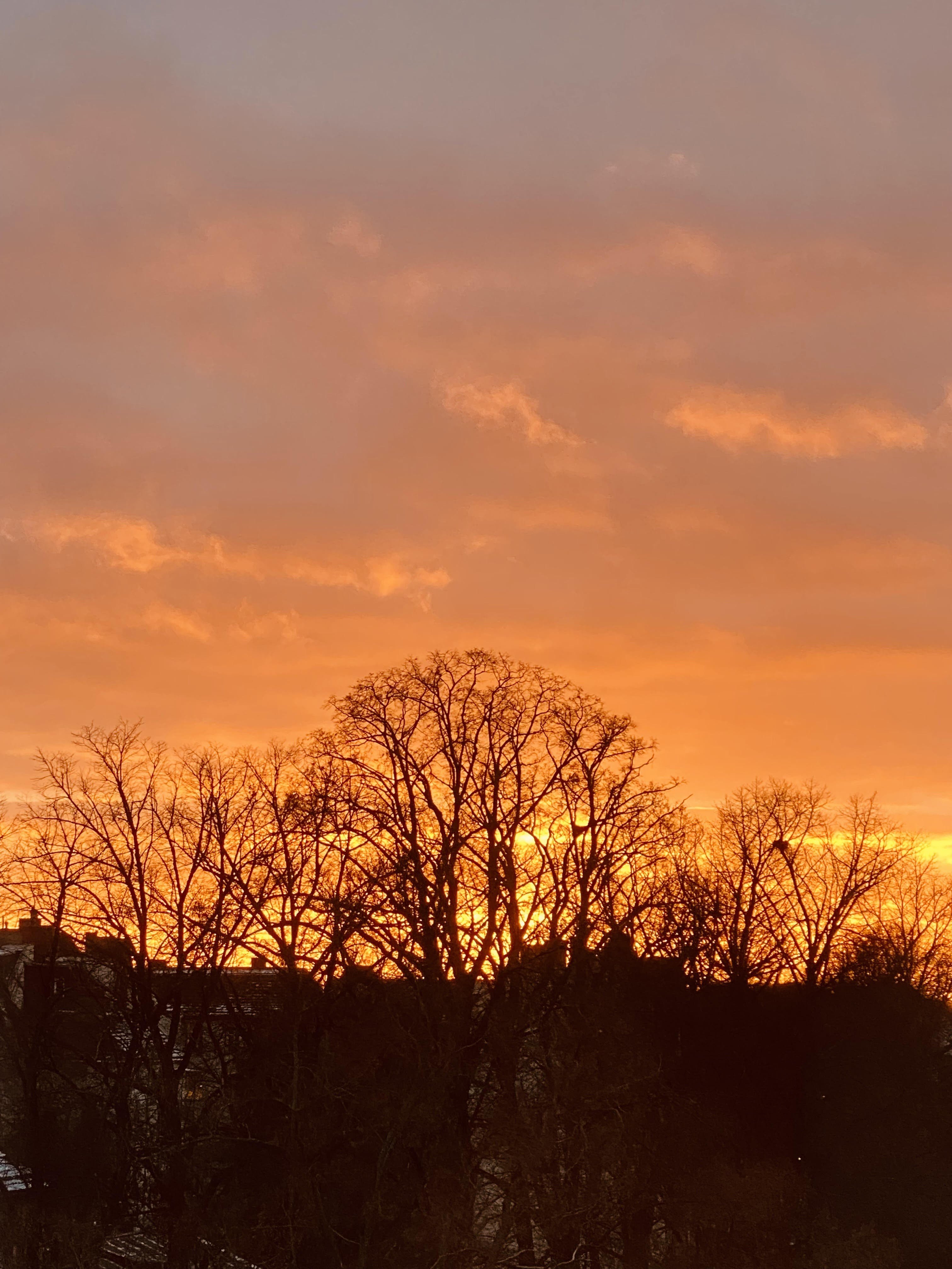 Die Hierarchie der Spezialgläser - Jamal Tuschick | story.one