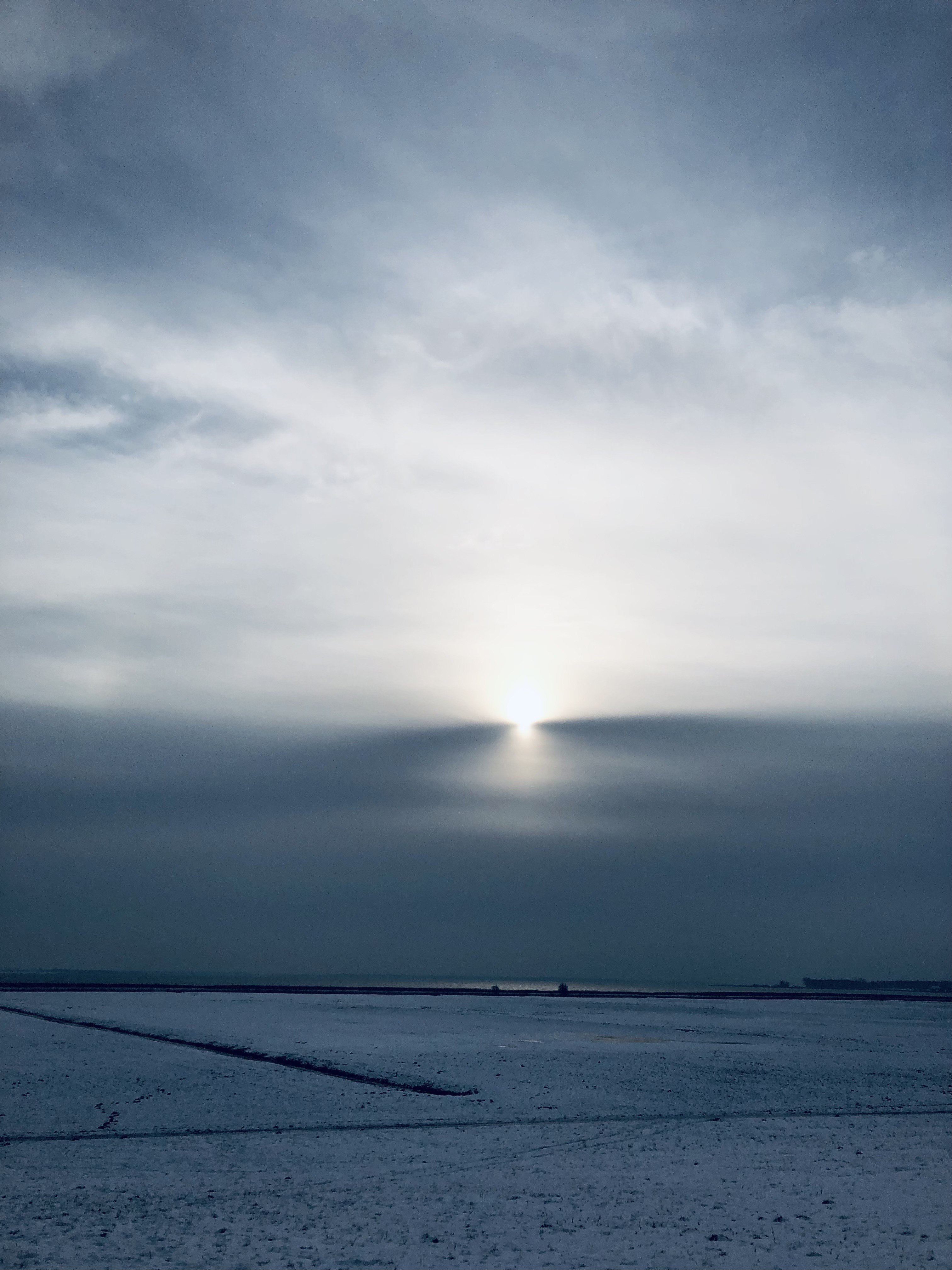 Das Kind Gesine - Jamal Tuschick | story.one