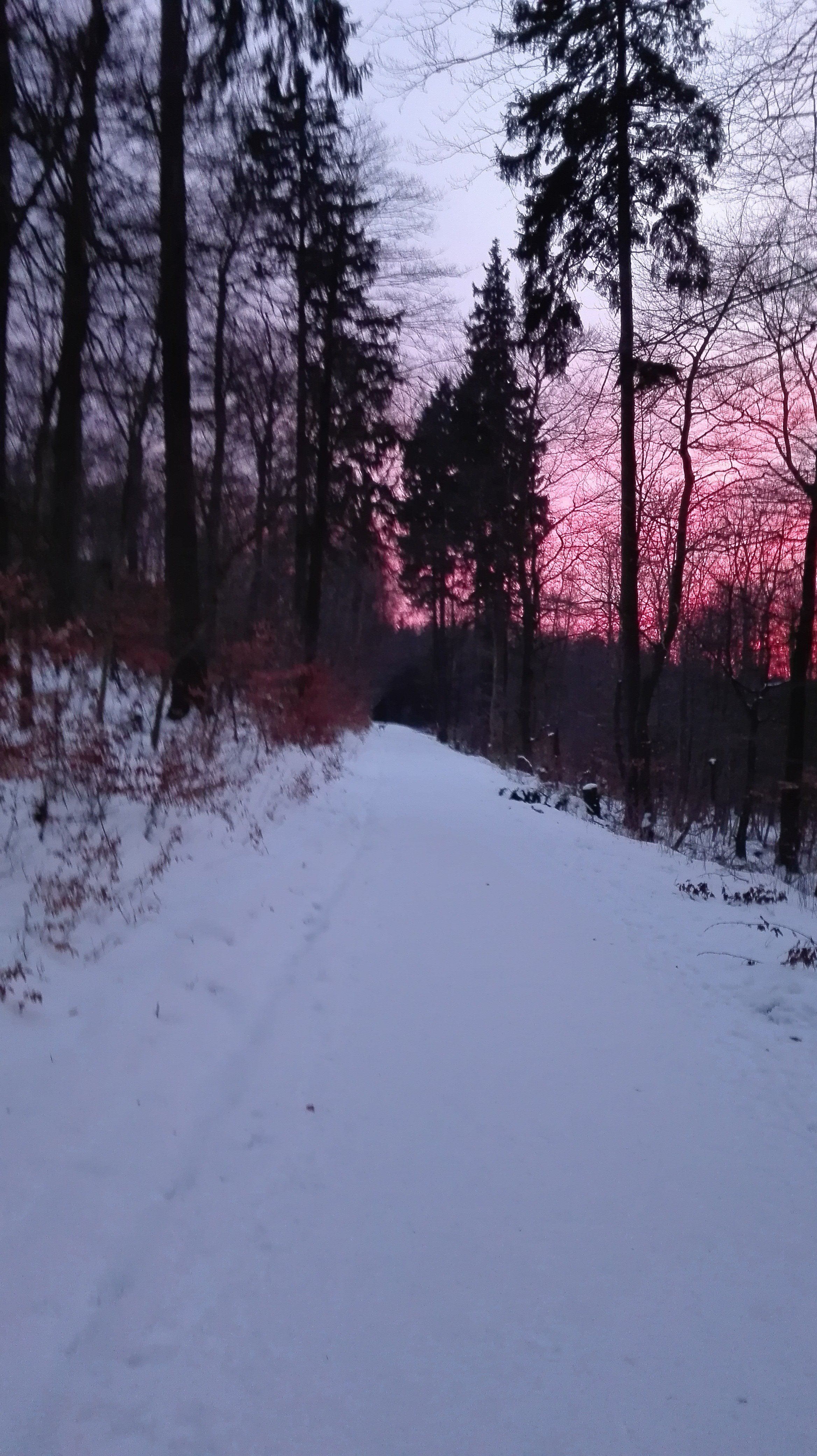 Ugly Casting - Jamal Tuschick | story.one