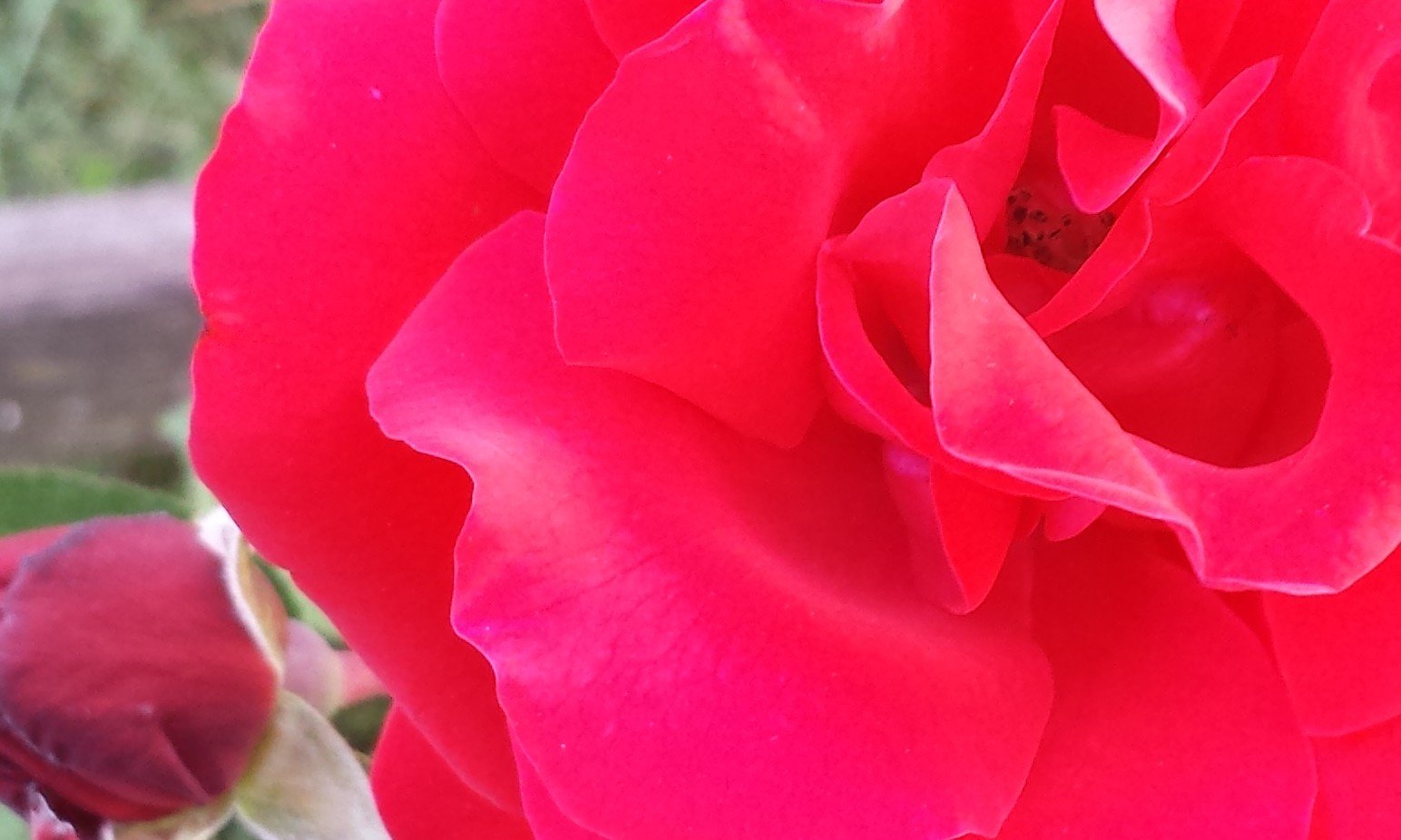 Dirty frilly things - Carla | story.one