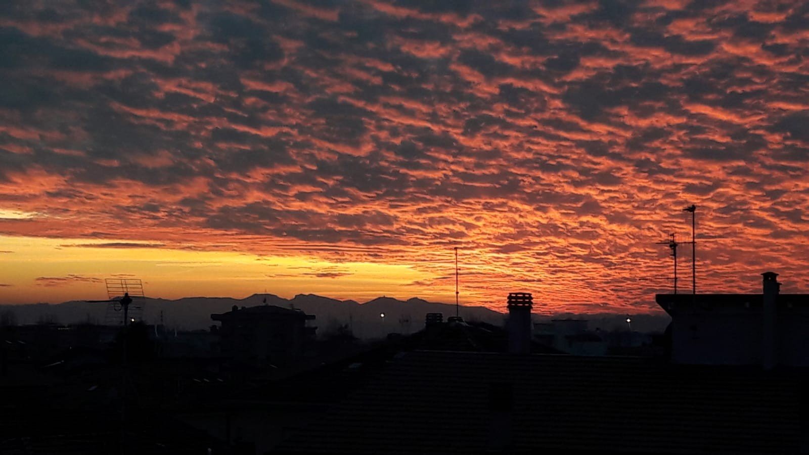 Shiny Shoes - Stephen Carragher | story.one