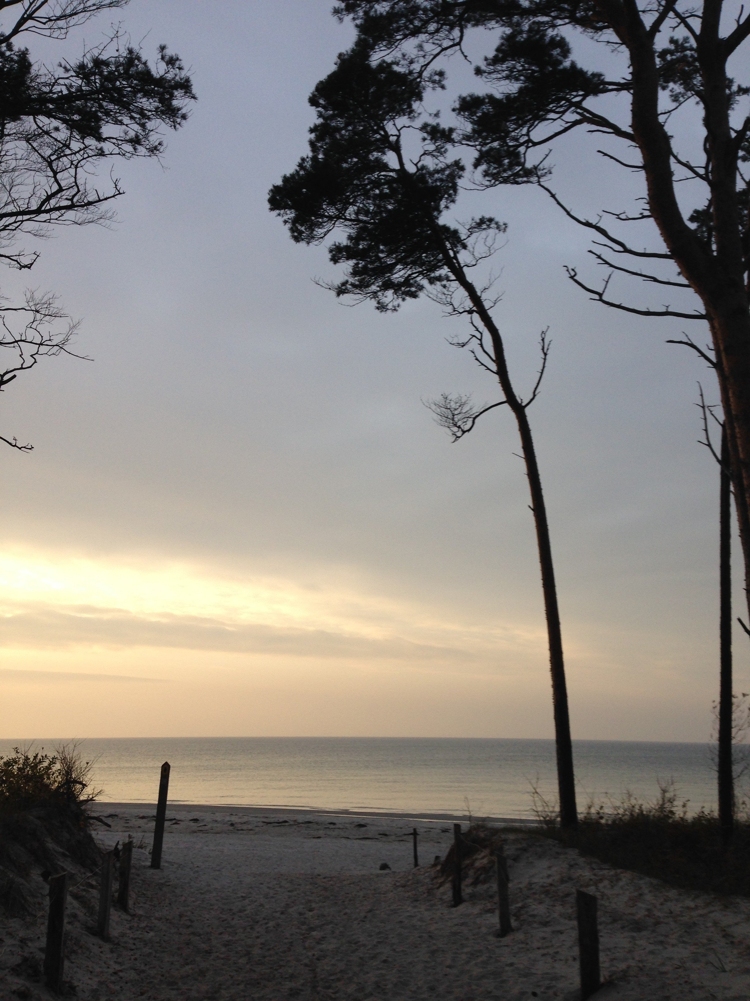 Nackt für Stalin - Jamal Tuschick | story.one