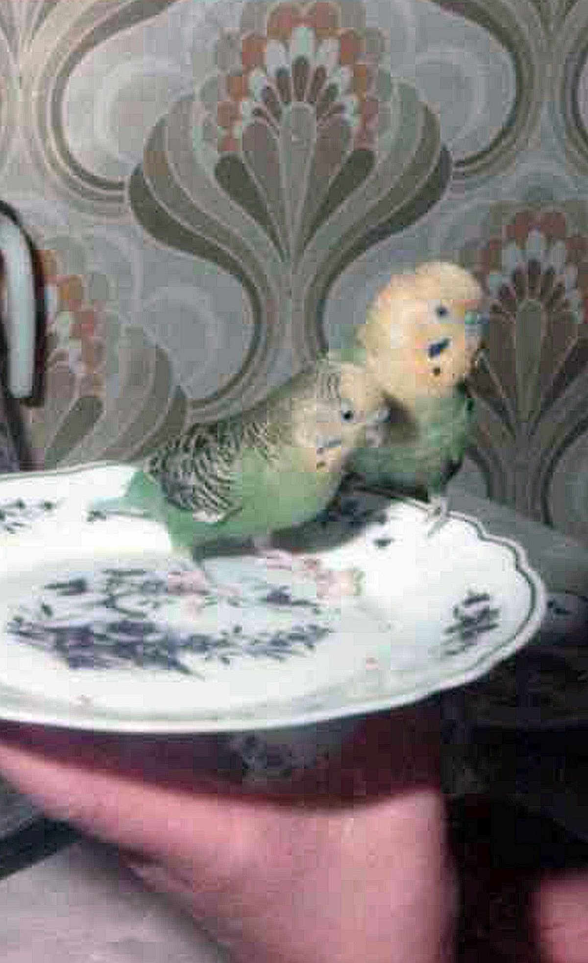 Marie - Pipsi + Burli - Franz Kellner | story.one