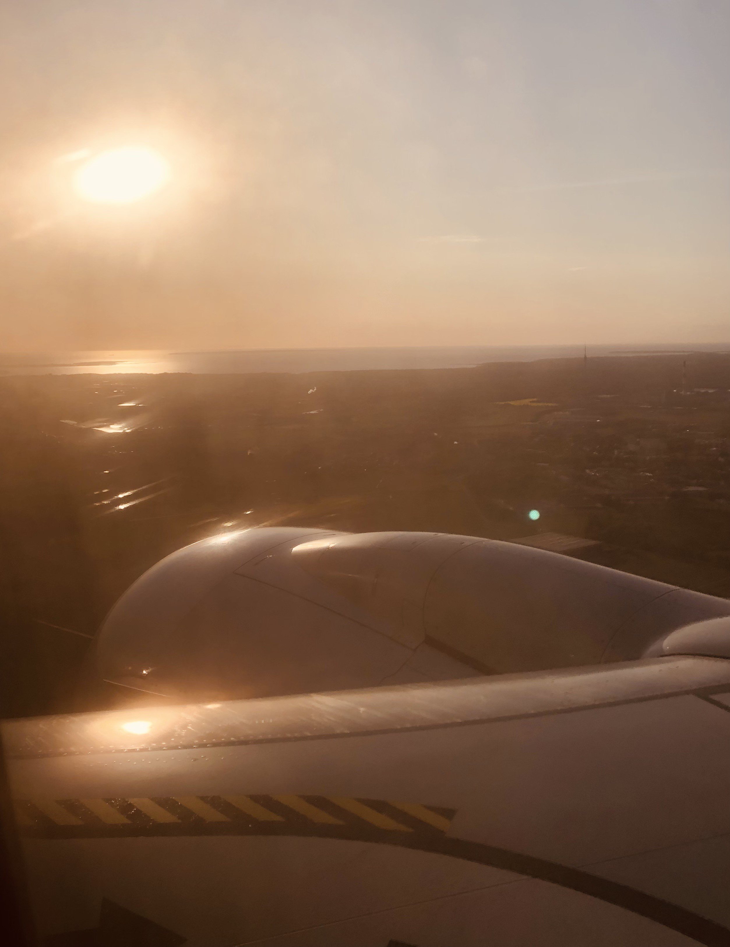 Heideggers Glanzschülerin - Jamal Tuschick | story.one