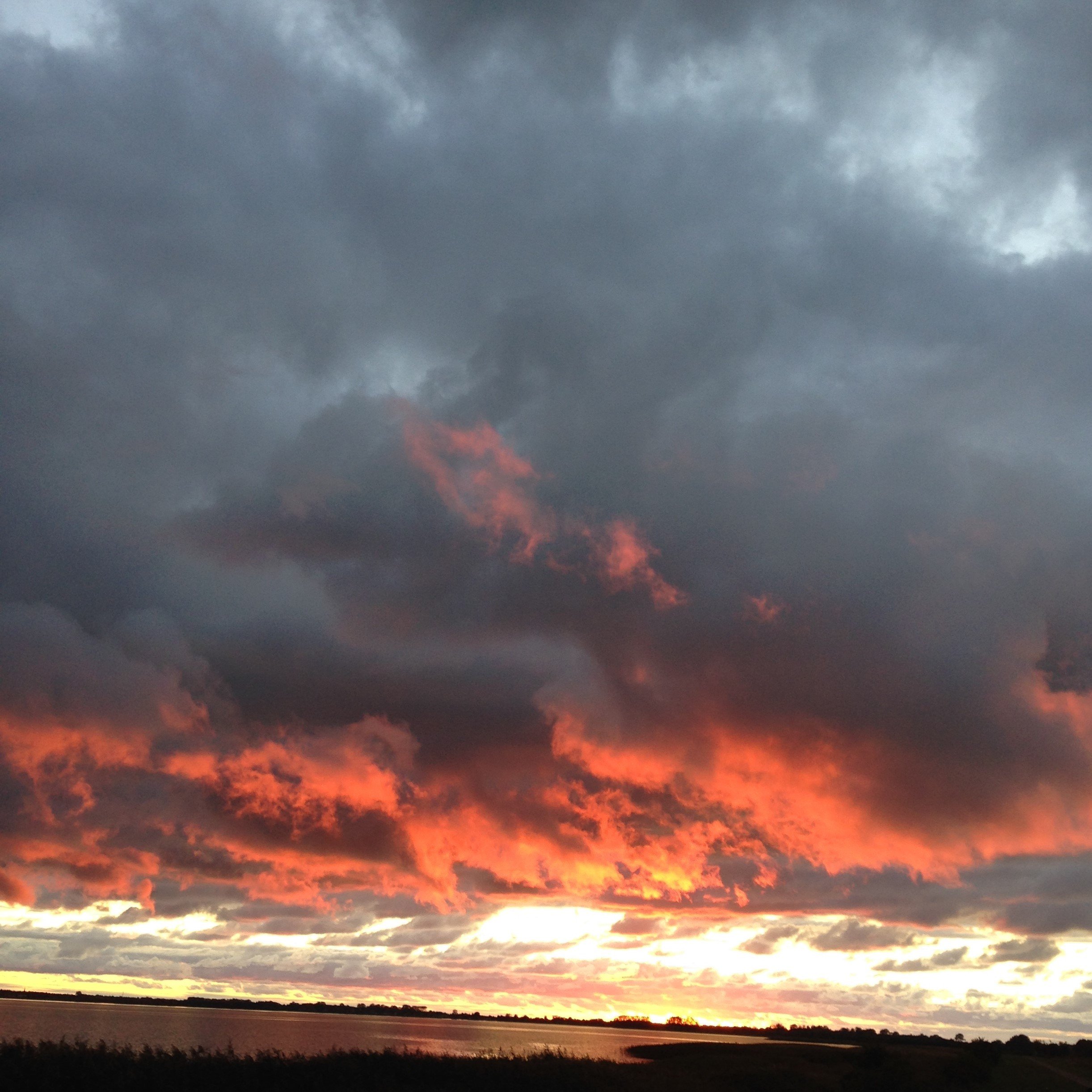 Baader als bundesdeutscher Baal - Für Flaco - Jamal Tuschick | story.one