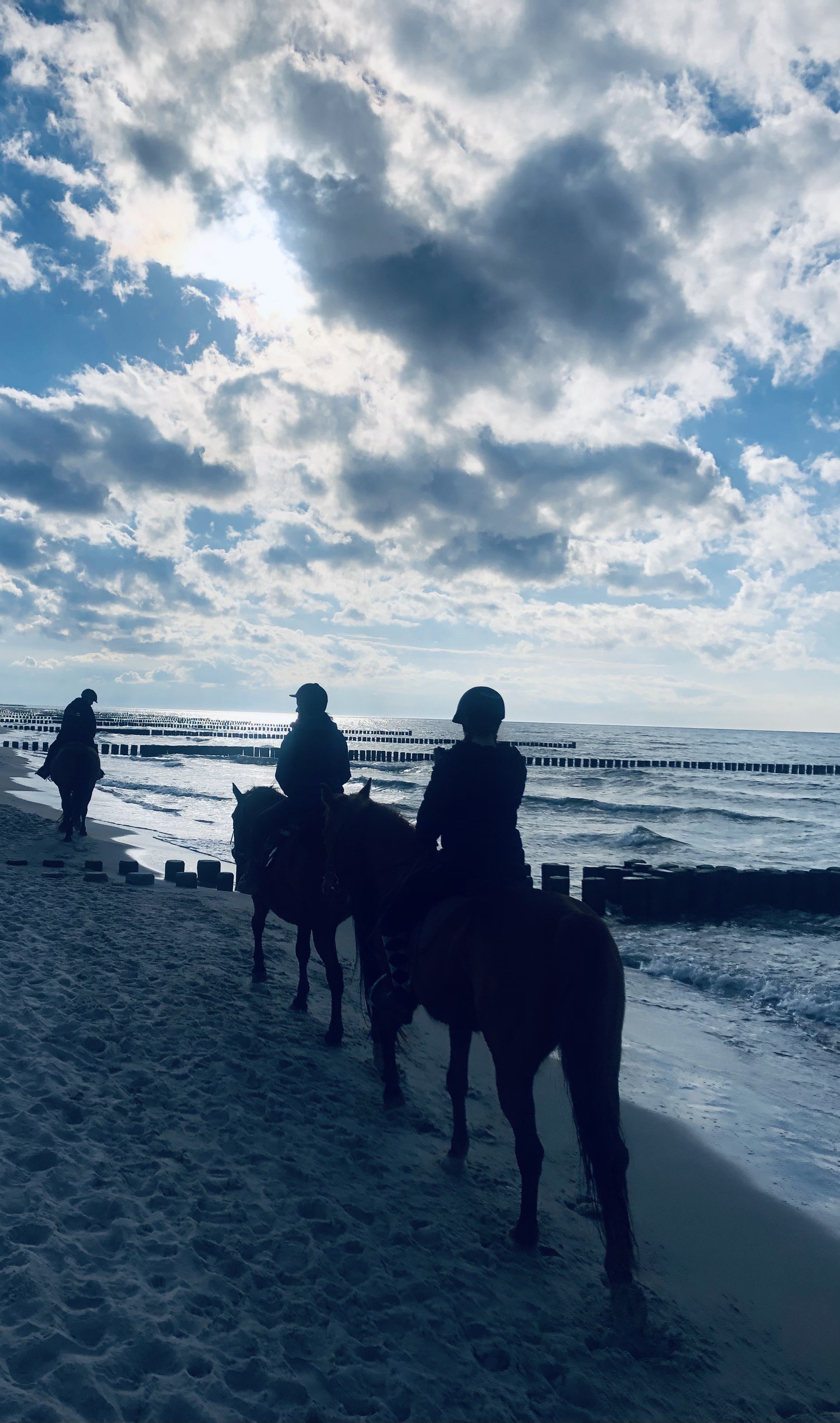 Search and Destroy - Jamal Tuschick | story.one