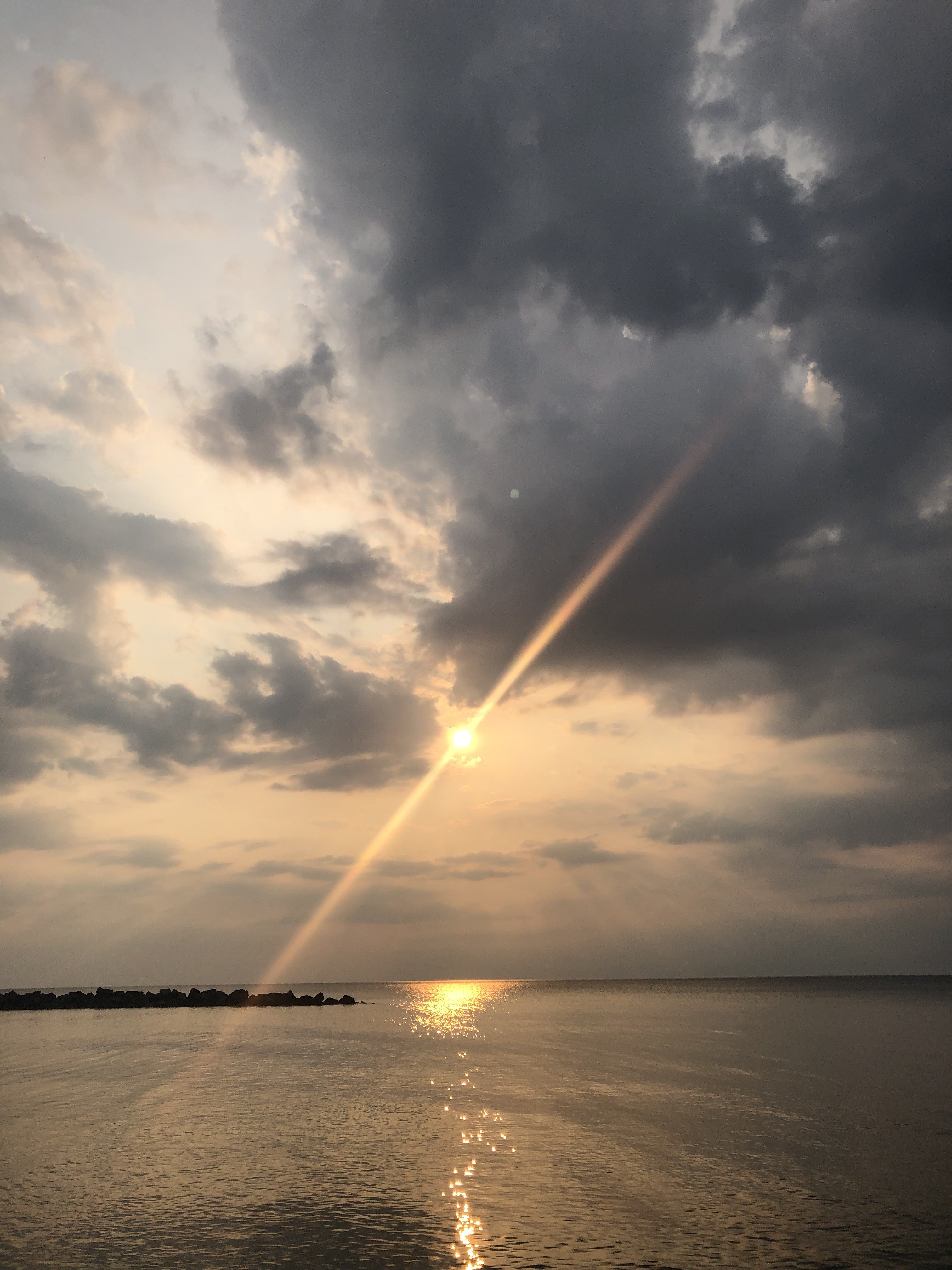 Die Neuerfindung Amerikas im Geiste Humboldts - Jamal Tuschick | story.one