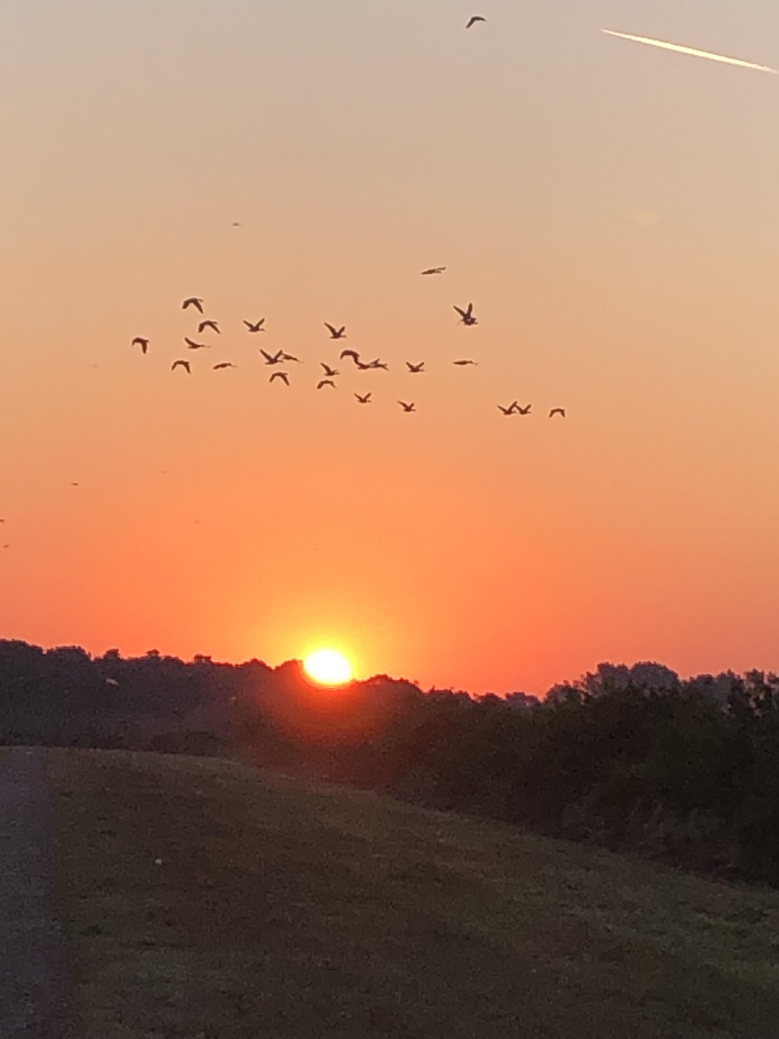Die Schrankfrau - Jamal Tuschick | story.one